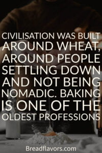 70+ Best Baking Quotes & Captions For Your Next Instagram Puns