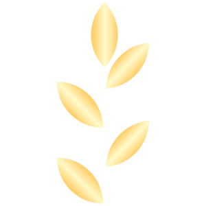 Guide To 20 Different Types Of French Bread More